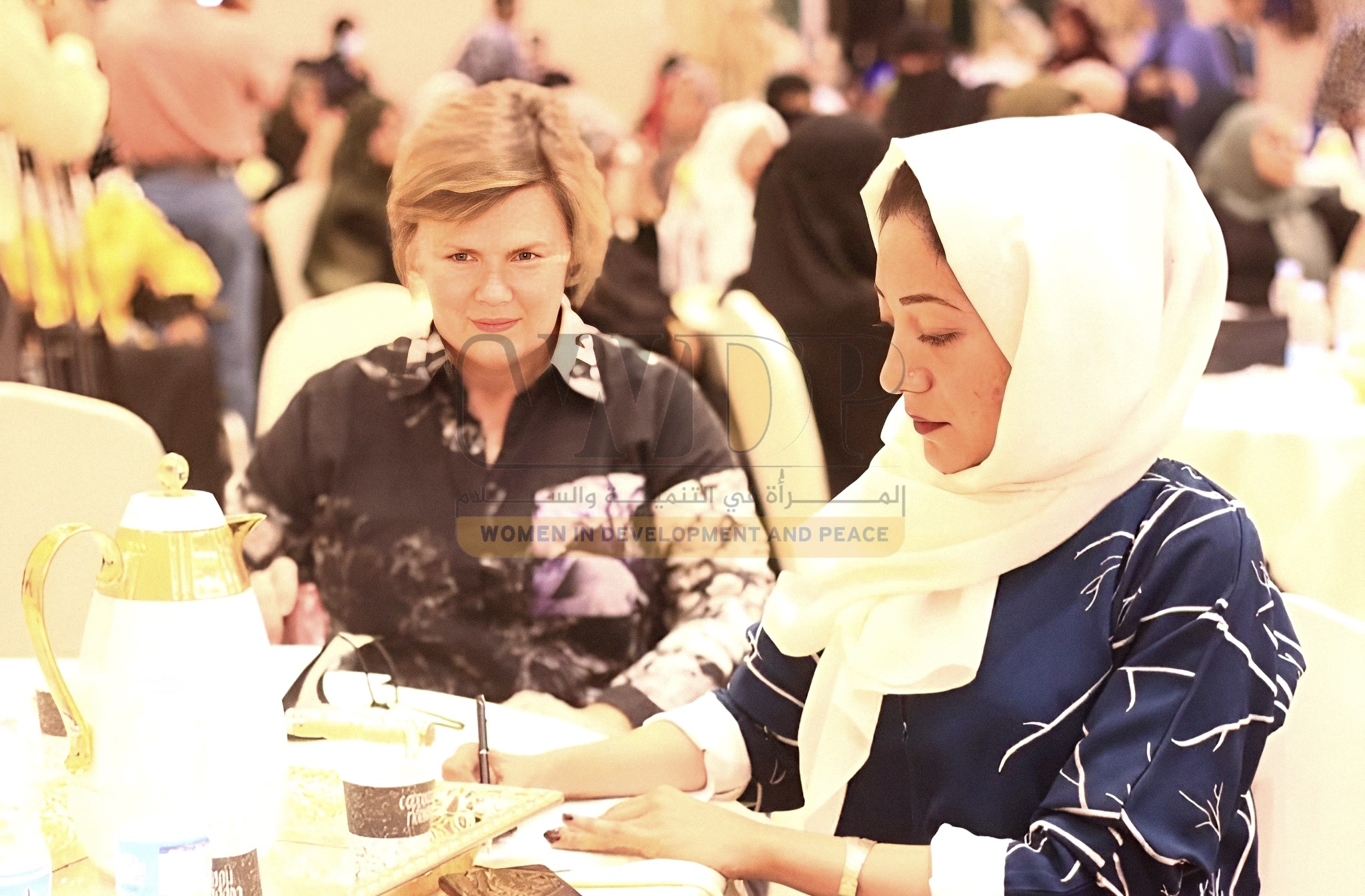 International and Local Organizations in Yemen: Vital Roles and ...